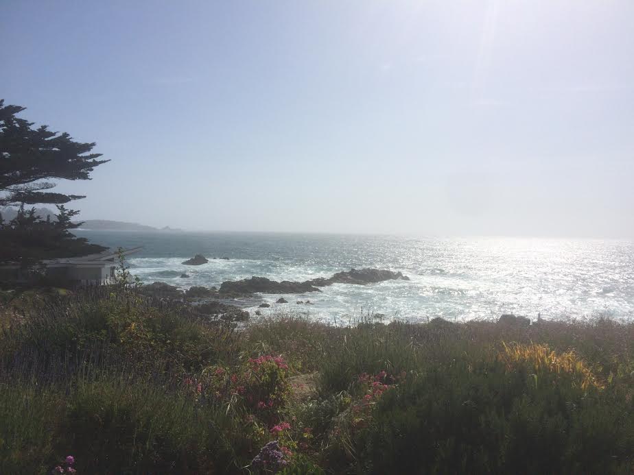 Reflection on Carmel Point, by Robinson Jeffers | Brian Leibold